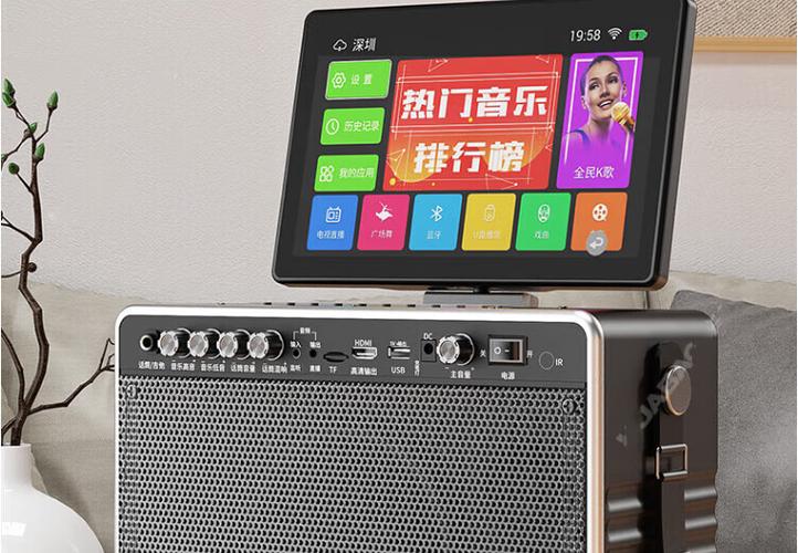 金正音响话筒没声音