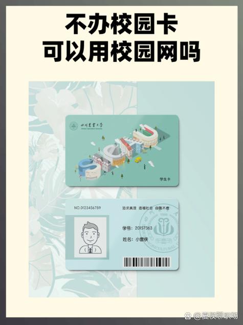学校的校园卡丢了怎么办