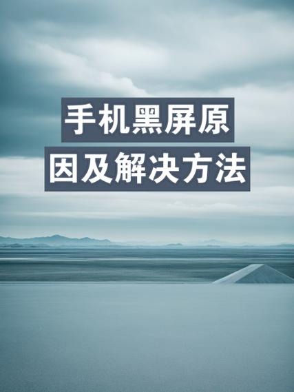 手机是开着的但是屏幕是黑的怎么办