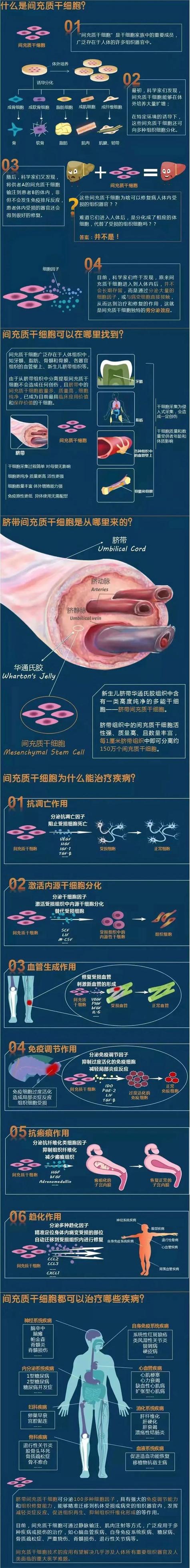什么是干细胞?图标