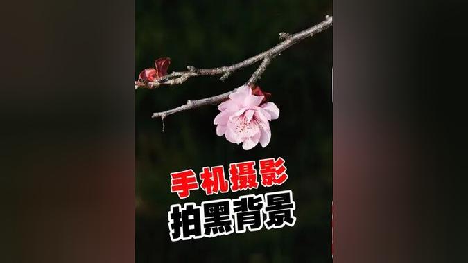 拍照怎么把背景变黑