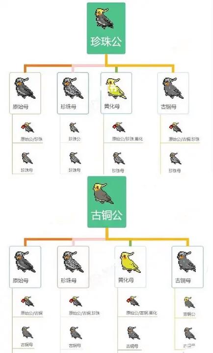 玄凤鹦鹉繁殖技巧图标