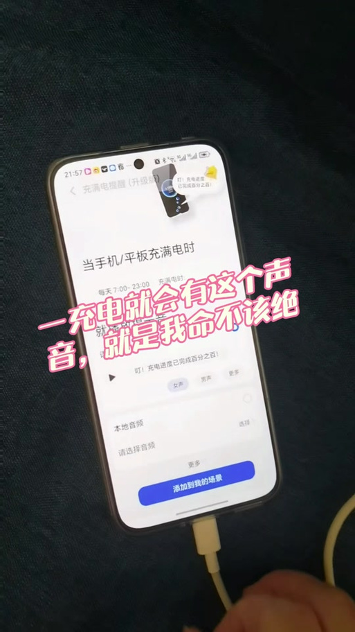 荣耀手机充电提示音哪里设置图标