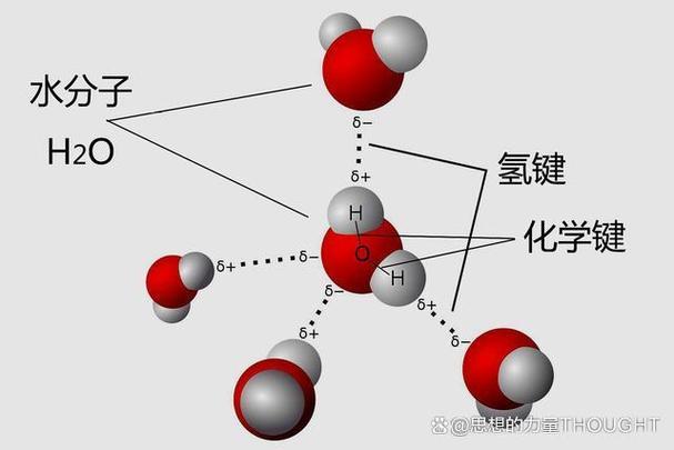 哪些化学键有方向性和饱和性图标