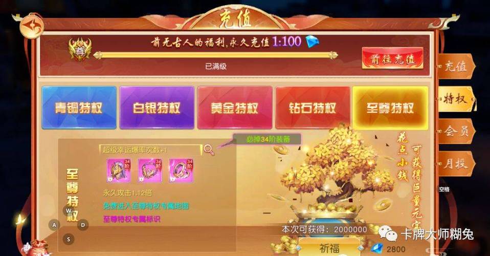 免费送满级的vip游戏截图