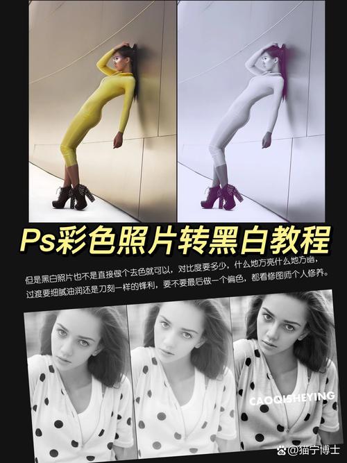 ps黑白照片怎么变成彩色图标