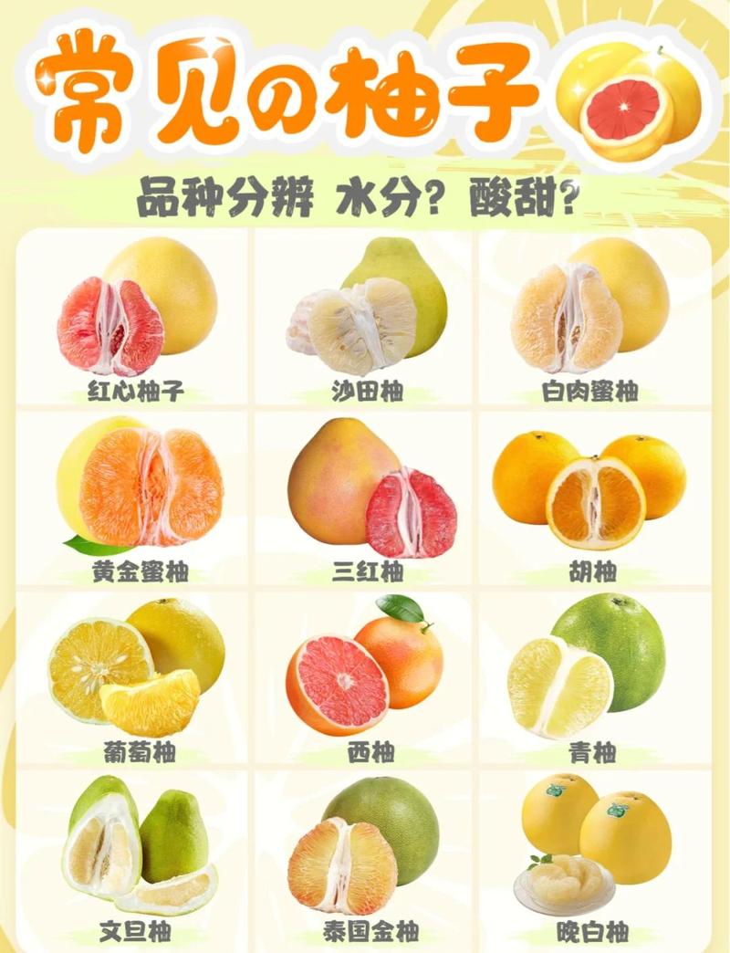 红柚好吃还是白柚子好吃截图