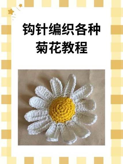 各种各样的菊花的钩法图标