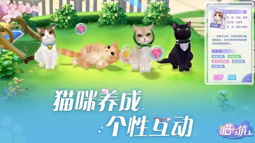 猫与筑下载