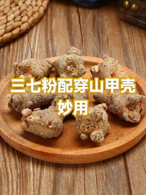 三七小说网站图标