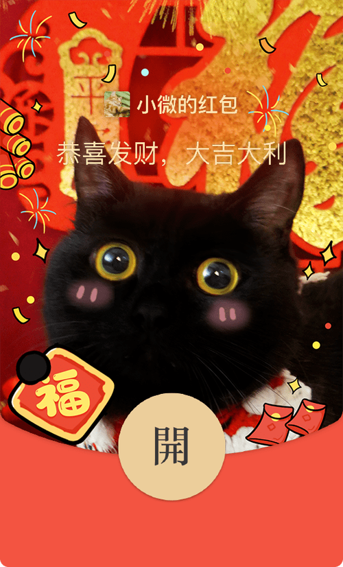 免费赠送宠物猫图标