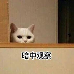 暗中观察表情算暧昧吗截图