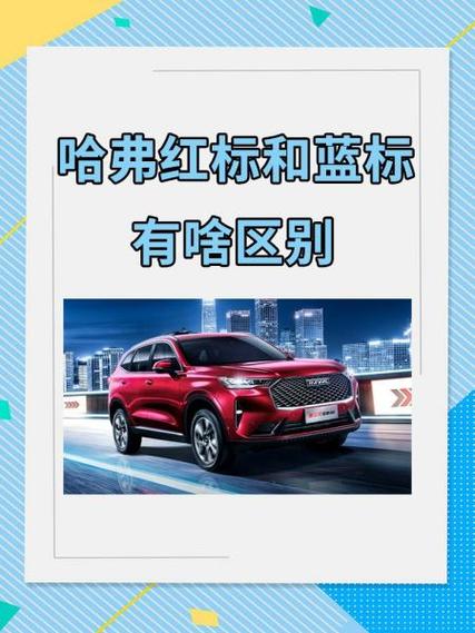 红标和蓝标哪个贵图标