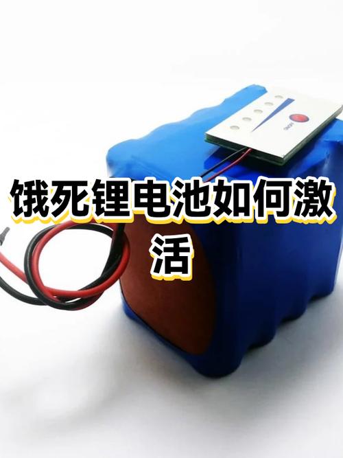 饿死电瓶激活方法图标