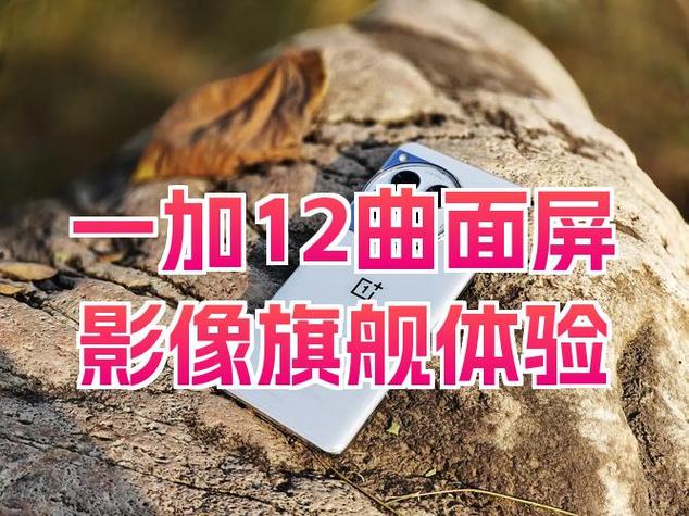 一加手机没有声音截图
