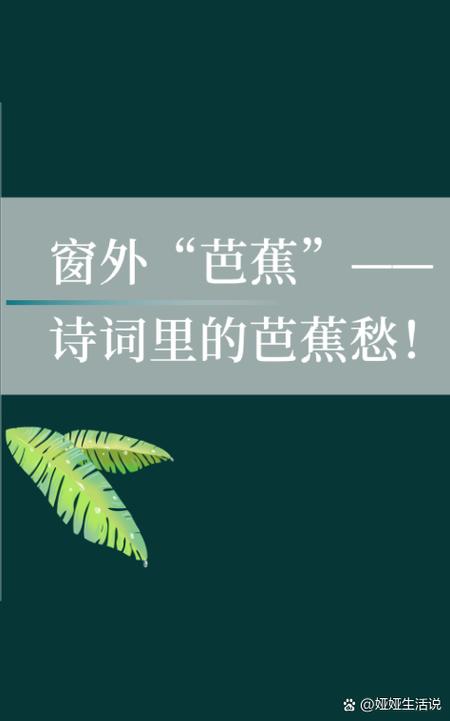窗外一本芭蕉阅读答案图标