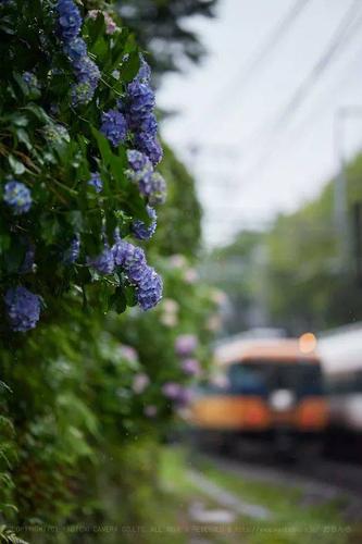 苹果14直播背景虚化怎么调截图
