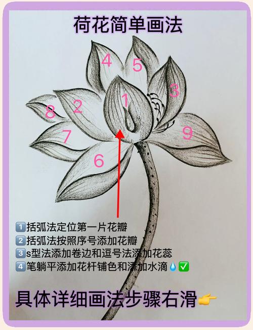 荷花1777安装教程图标