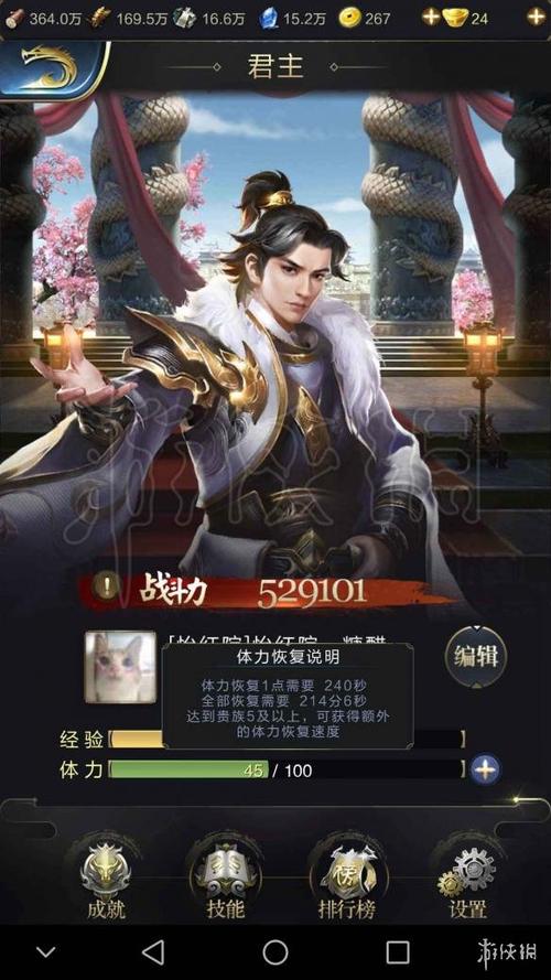 乱世王者打野流