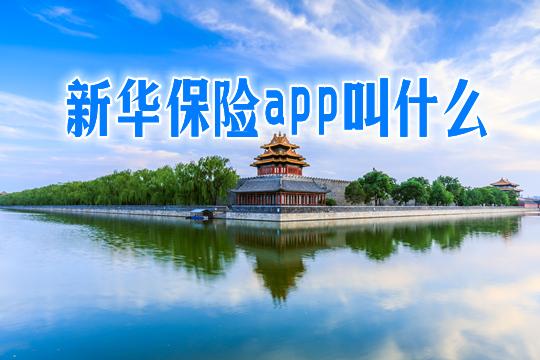 新华保险app官方正版游戏截图