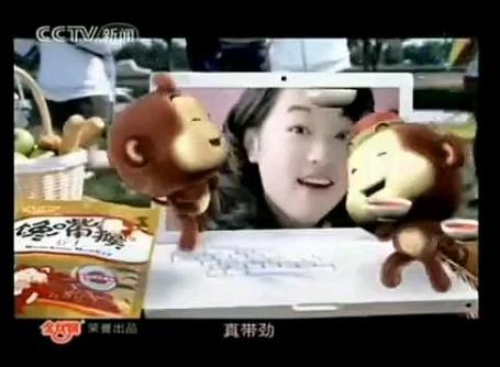 广告之声2008截图