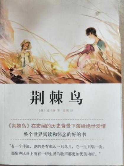 荆棘鸟在线阅读原版截图