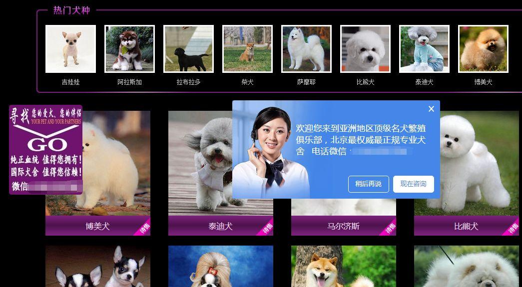 网上卖狗一年赚多少图标