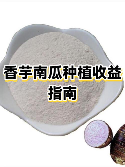 种植香芋的成本与利润截图