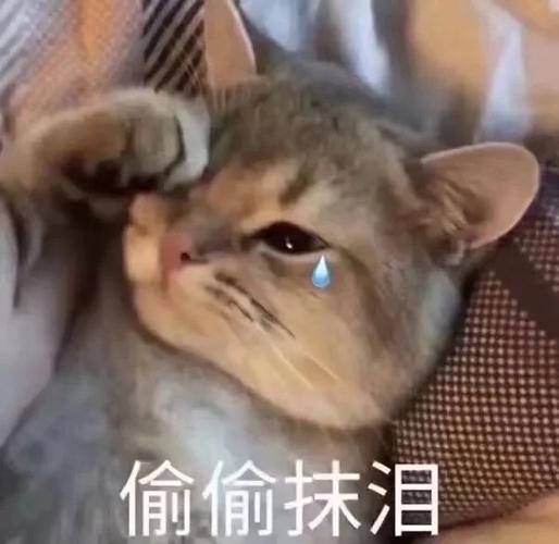 偷偷抹泪的图片