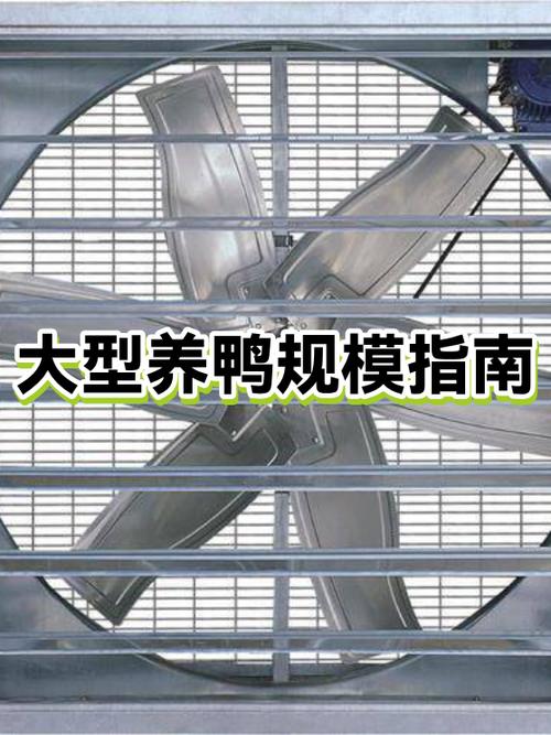 养1000只鸭要多大场地图标
