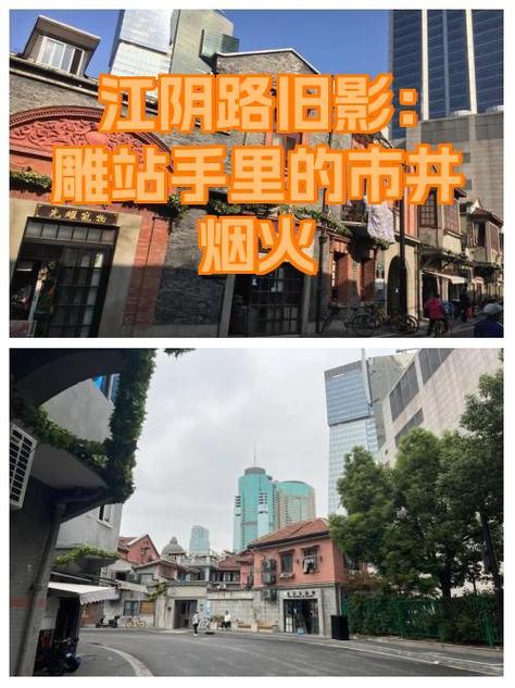 江阴路花鸟市场图标
