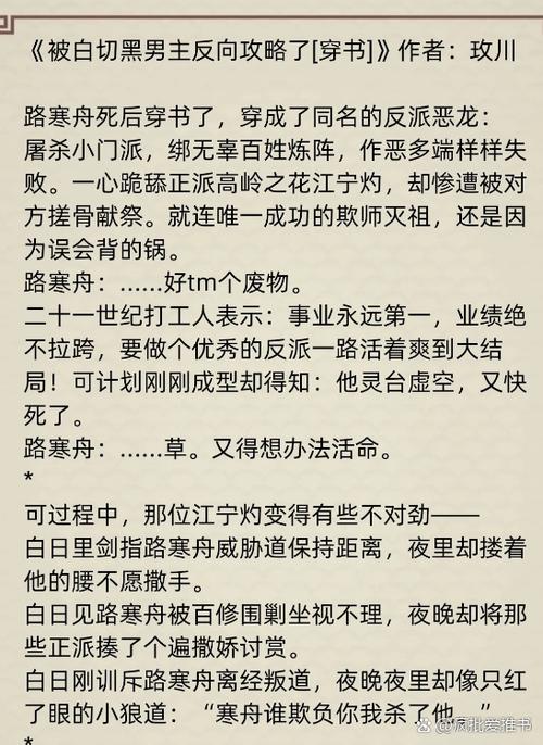 当书网小说网截图