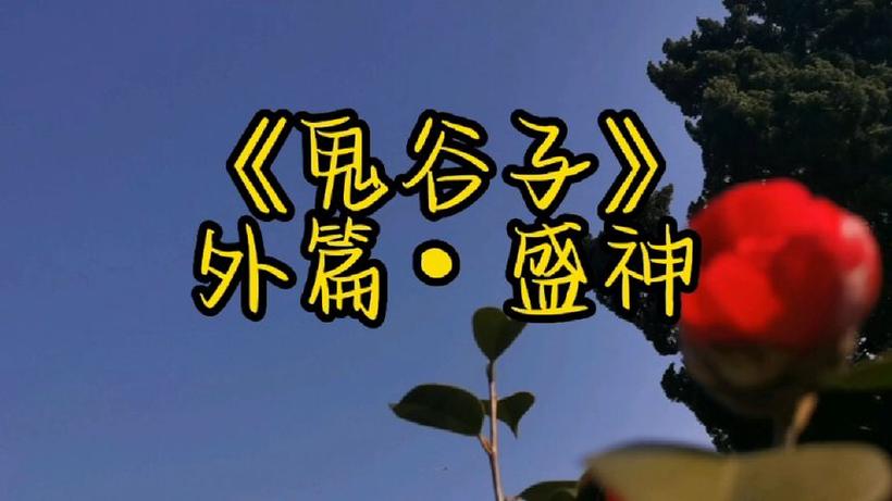 鬼谷子本经阴符七术有几本是蓝色截图