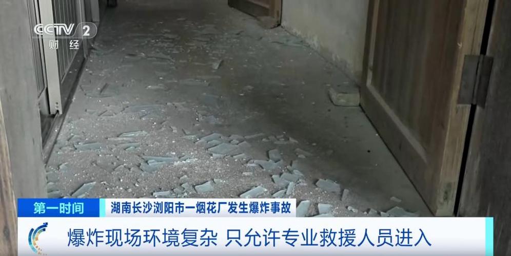 浏阳烟花厂爆炸现场视频图标