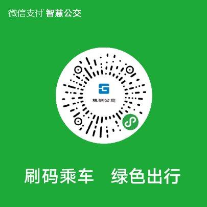 公交车乘车码下载什么软件图标