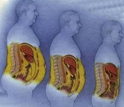 瘦子有什么好处图标
