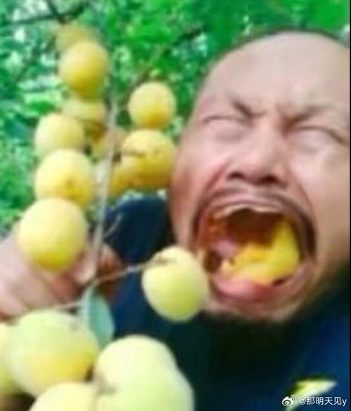 请你吃李子表情包截图