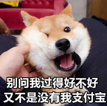 给狗10块钱表情包图标
