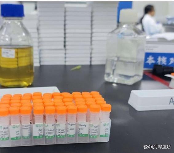兔源抗体图标