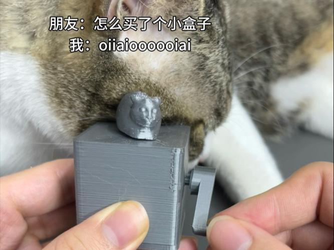小猫宝盒现在叫什么图标