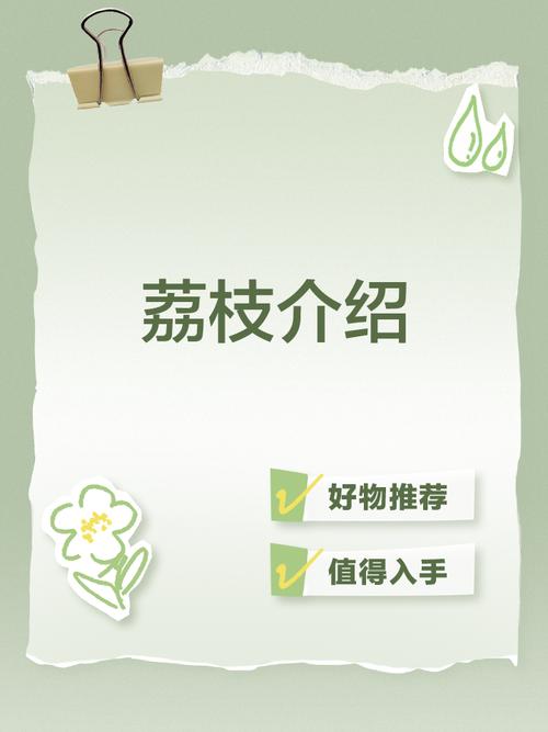 荔枝fm如何赚钱学生党图标