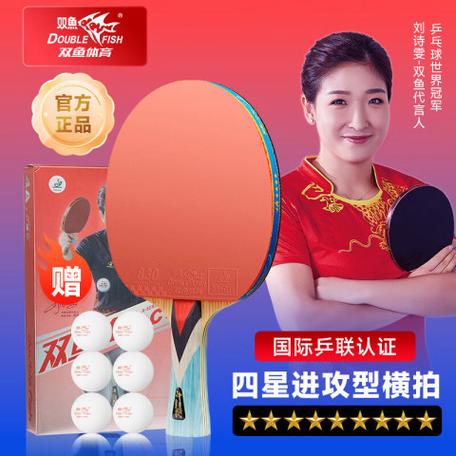 刘诗雯乒乓球拍配置图标