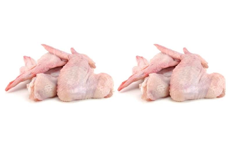 chicken wing图标