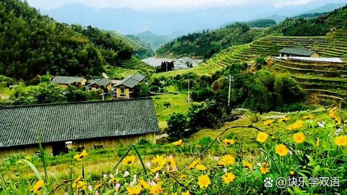 烟雨农夫小说全文免费阅读图标