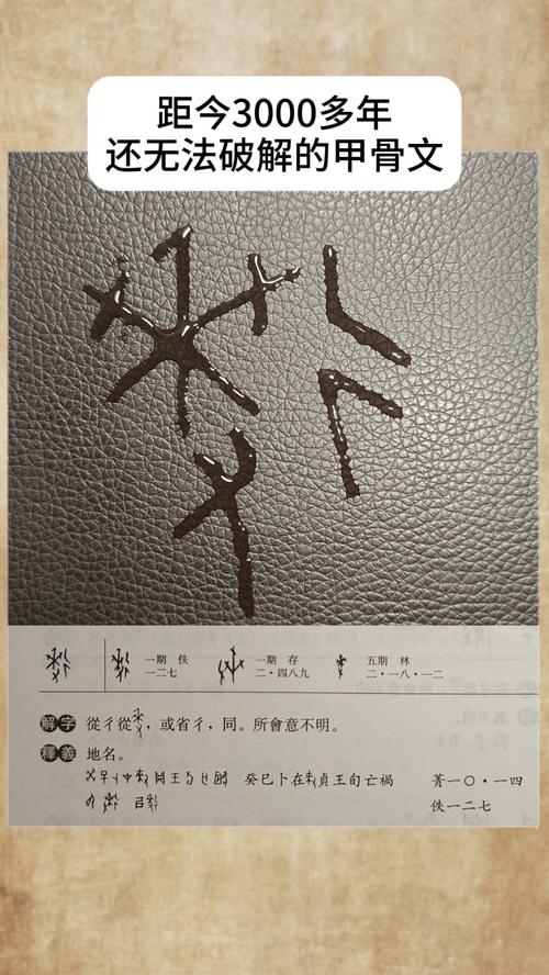 甲骨文距今多少年截图