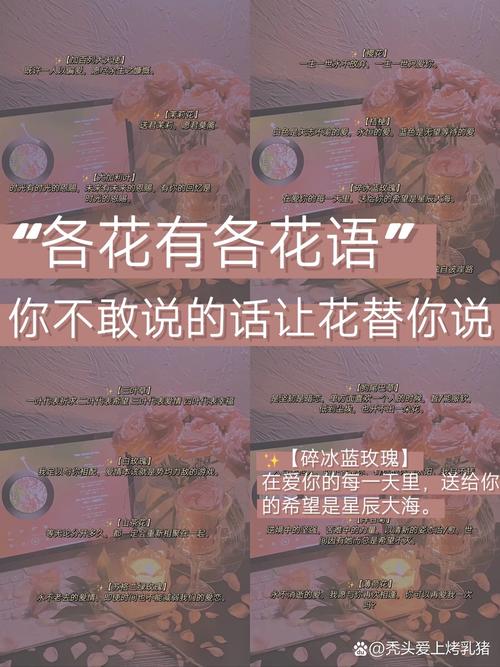 用信花是黑网贷还是正规网贷图标