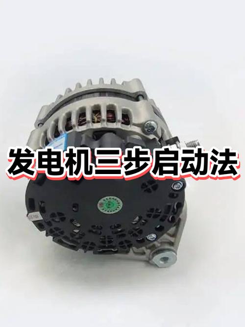 发电机正确启动步骤截图