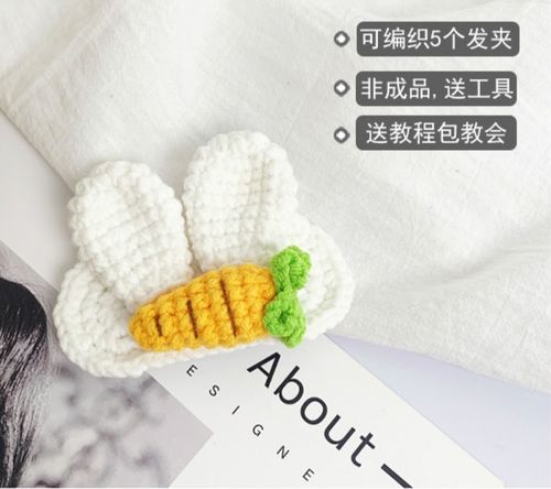 钩针编织发卡视频教程图标