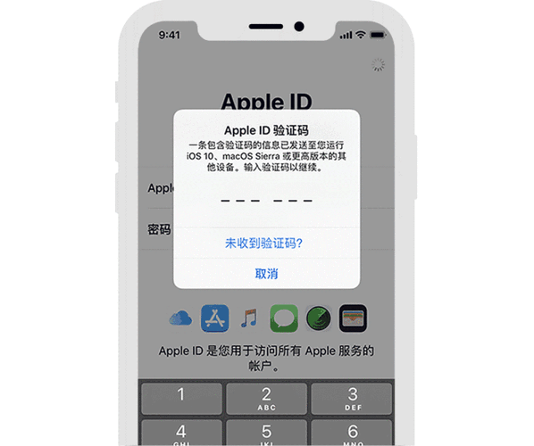 苹果id输入验证码没反应图标