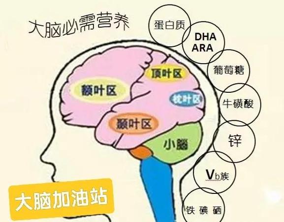 青少年能量来源截图